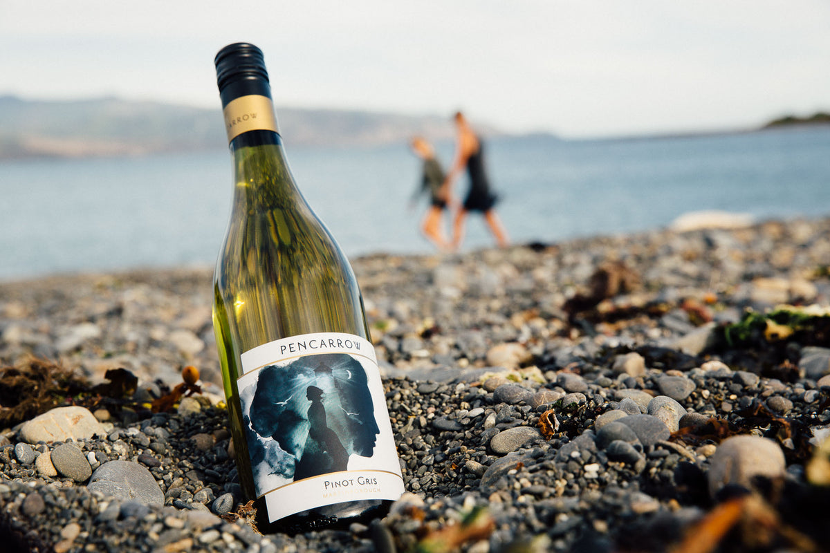 Palliser's new look and new brand – Regional Wines