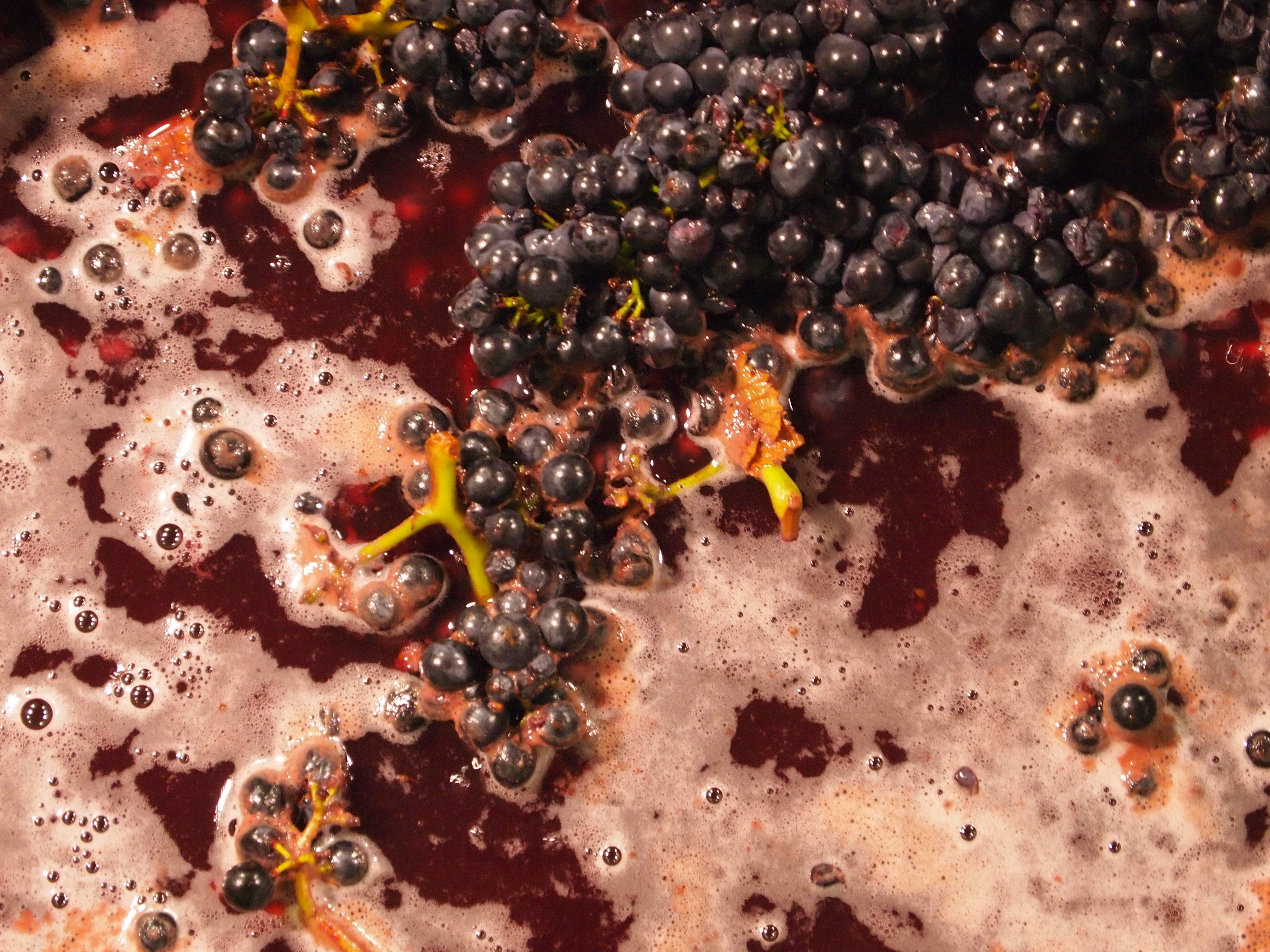 Marlborough’s great red... Pinot Noir Instore tasting Saturday 30 Marc ...