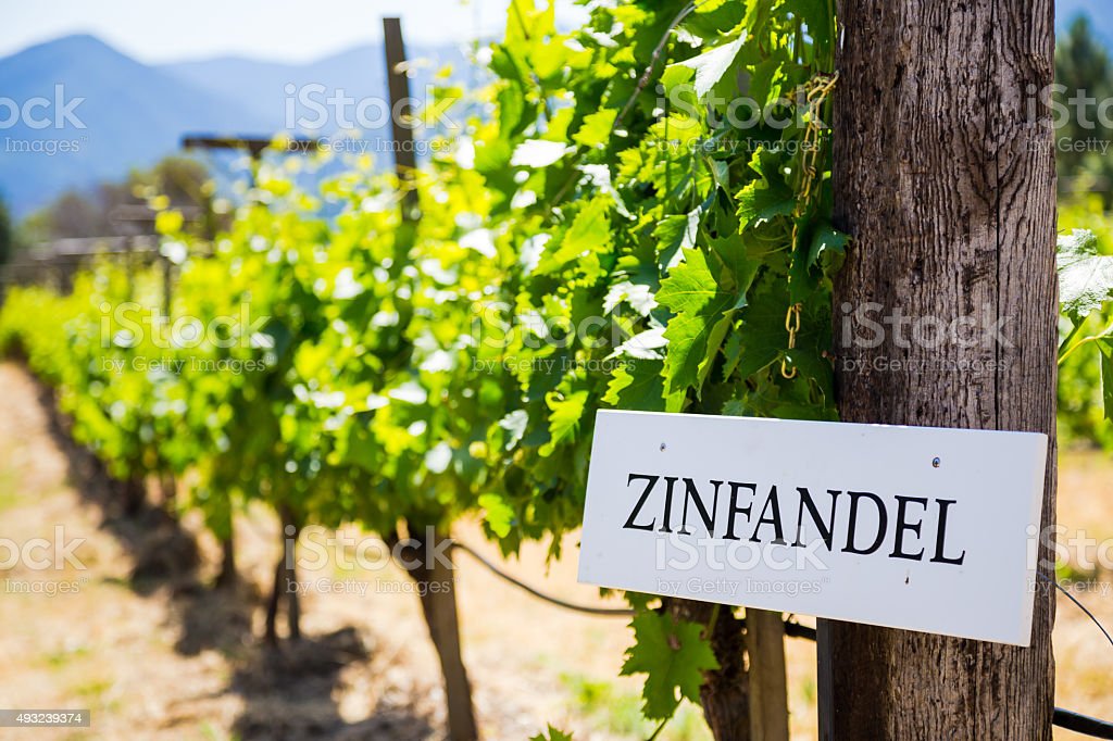 ZInfandel – Regional Wines
